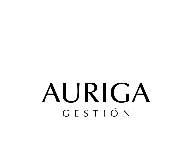 Auriga – Soluciones de administración y finanzas